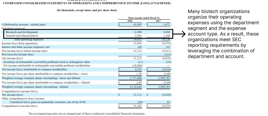 Segment Structure Basics in NetSuite